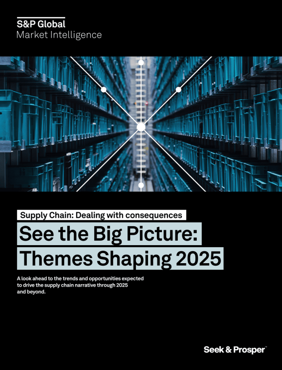 The big picture for supply chains in 2025 | CIPS Download