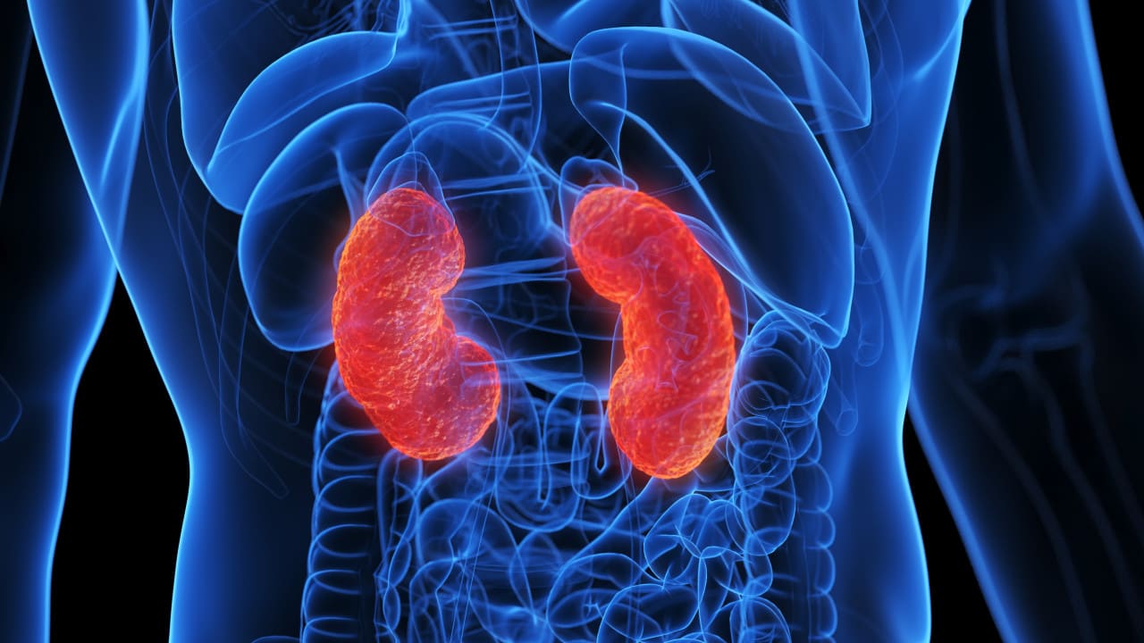 Tick tock, slow the eGFR clock: managing kidney risk in people with T2D ...