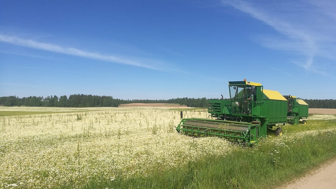 The sustainable revolution: Latvia's creativity and industry | C&IT World