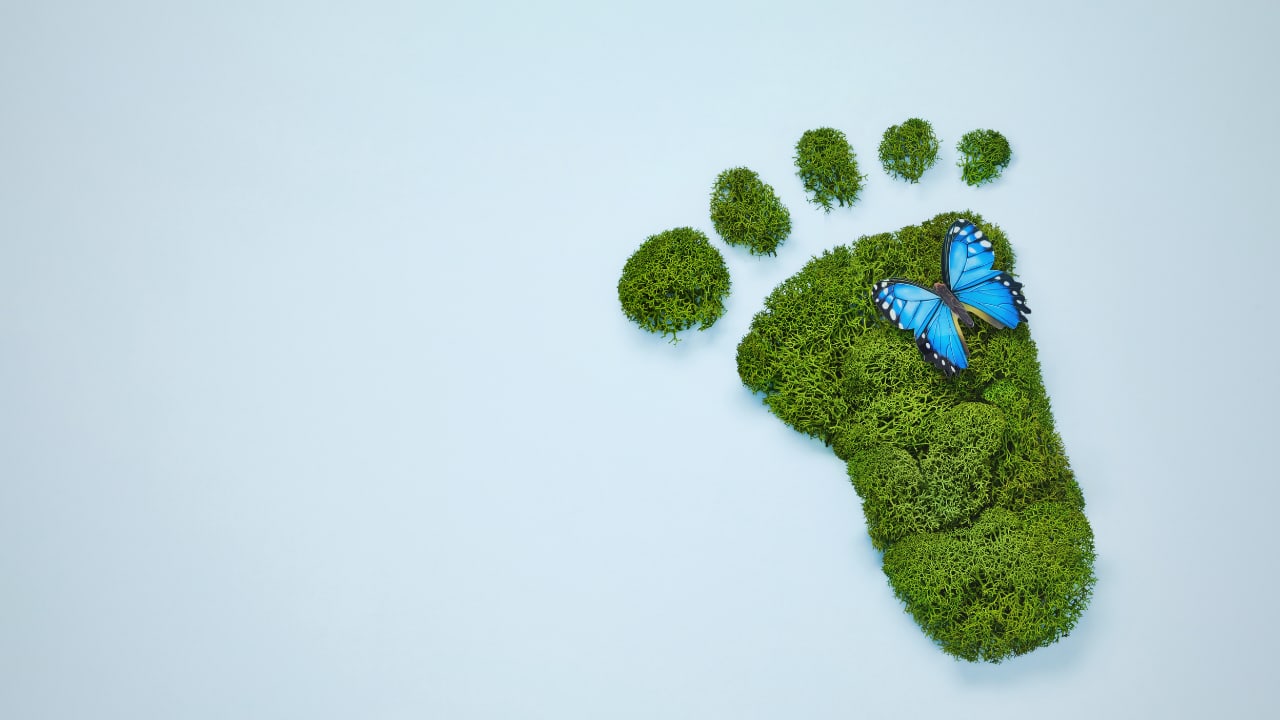 5 best practices to start your stewardship journey | City Nation Place