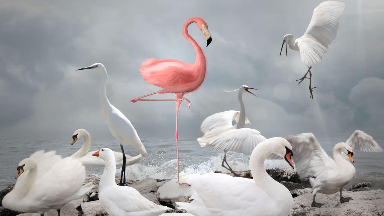A guide to standing out from the crowd with your place brand strategy ...
